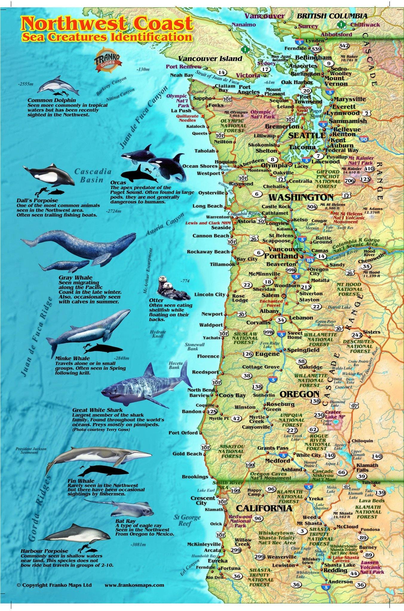 Pacific Northwest Coast Sea Creatures Card – Franko Maps