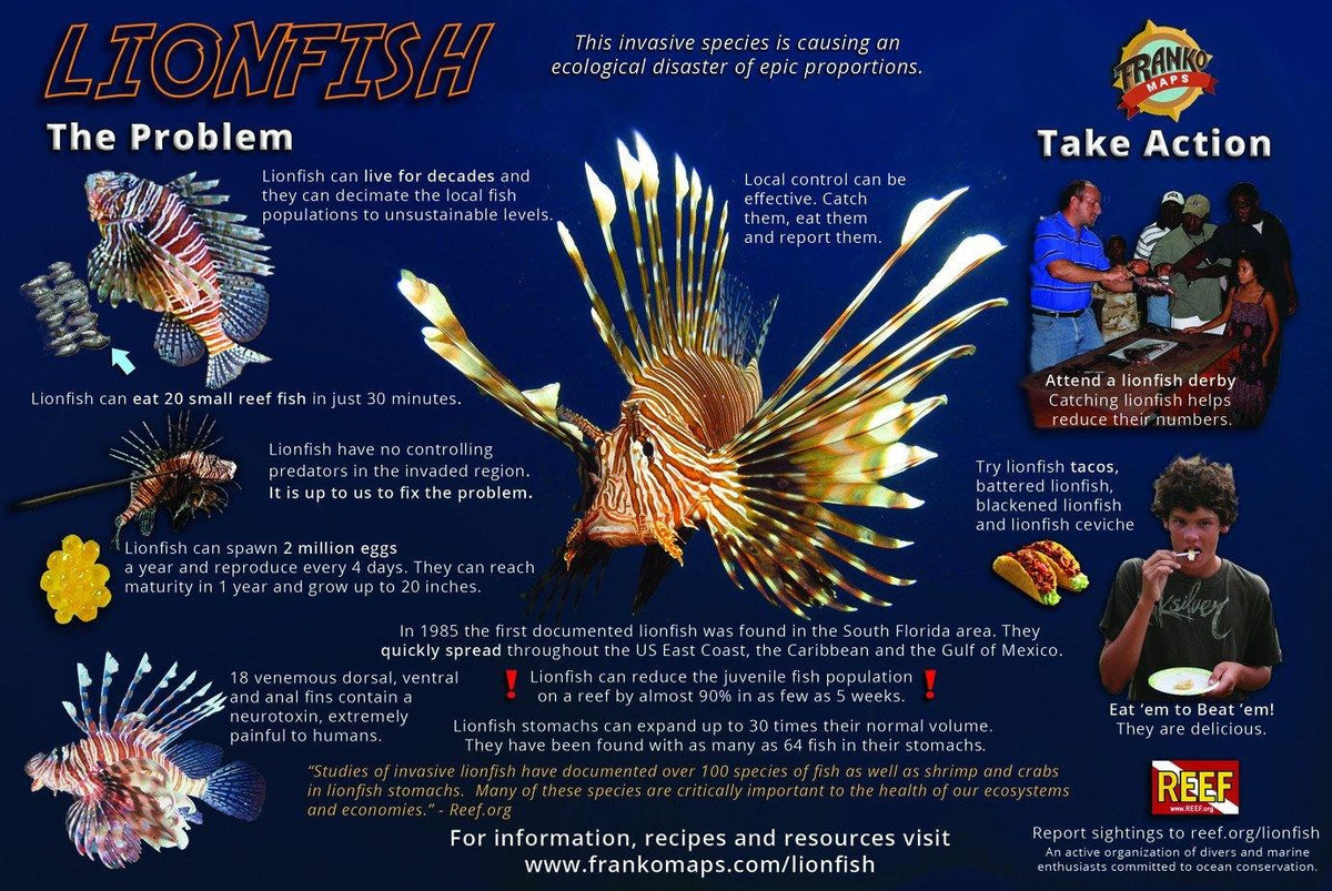 Lionfish Infestation Guide Card – Franko Maps