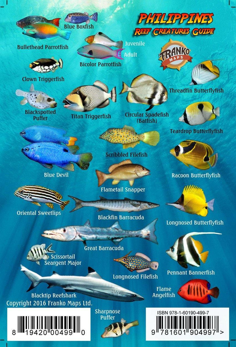 Philippines Mini Fish Card – Franko Maps