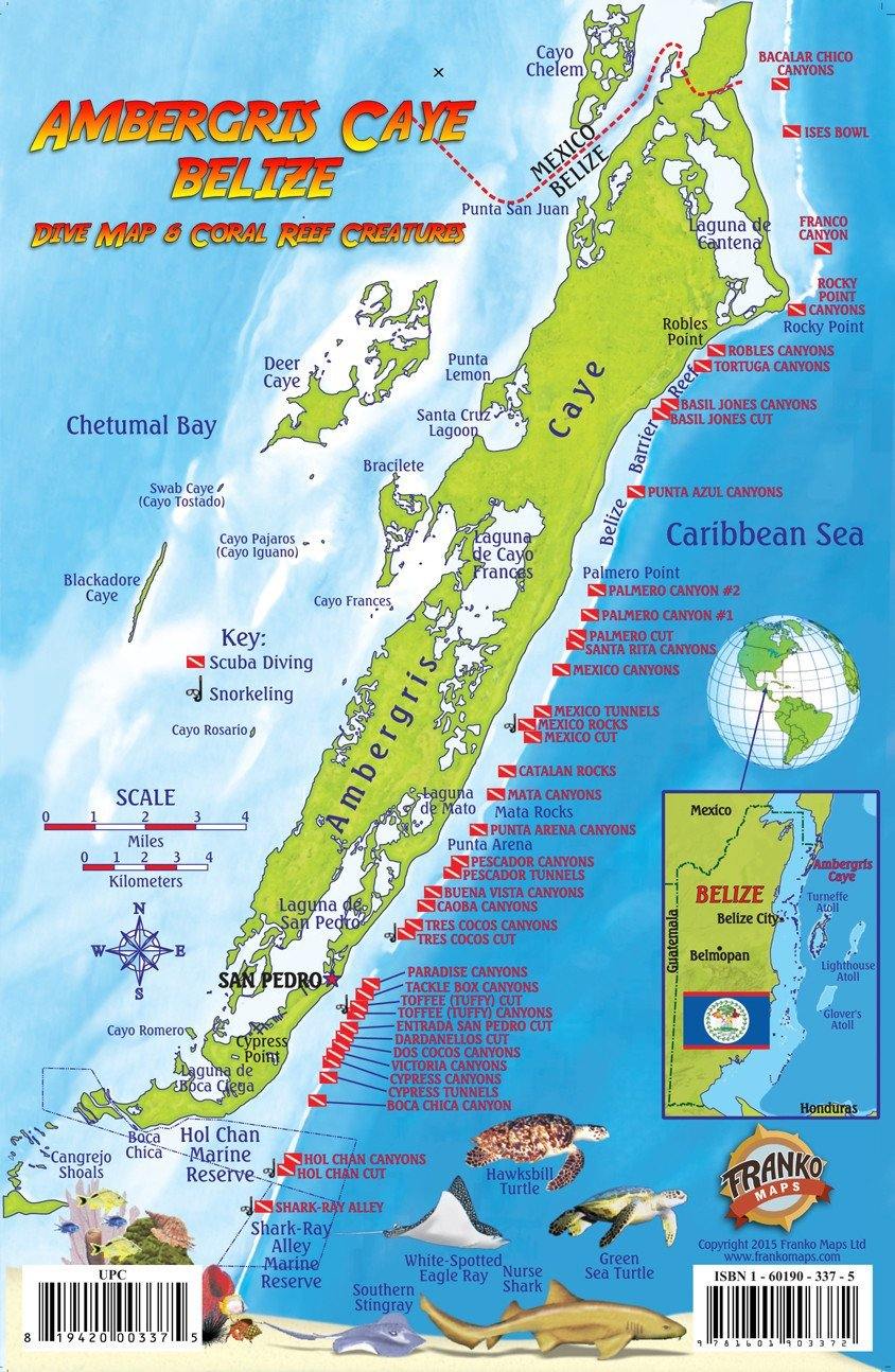 Ambergris Caye, Belize, Fish Card – Franko Maps