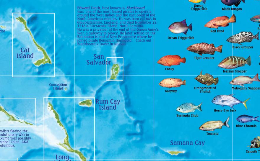 Bahamas Laminated Wall Map – Franko Maps