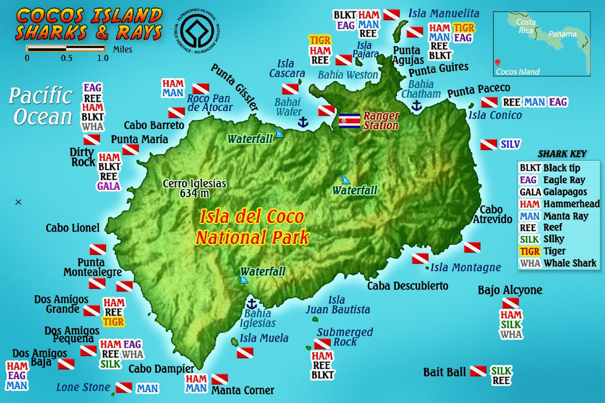 Cocos Island Sharks & Rays Mini Fish Card – Franko Maps