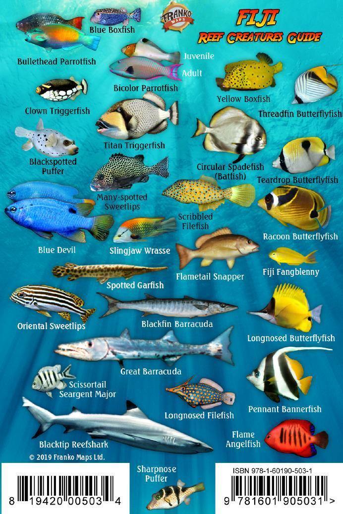 Fiji Mini Fish Card – Franko Maps