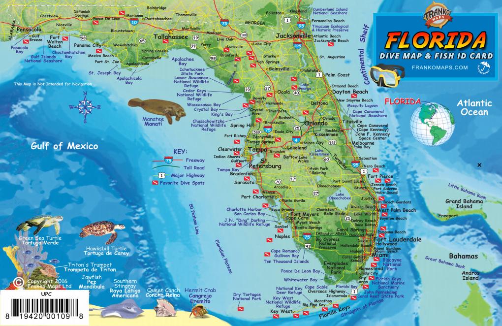 Florida Fish Card – Franko Maps