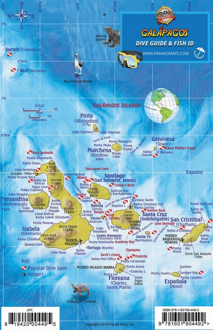 Galapagos Islands Fish Card – Franko Maps