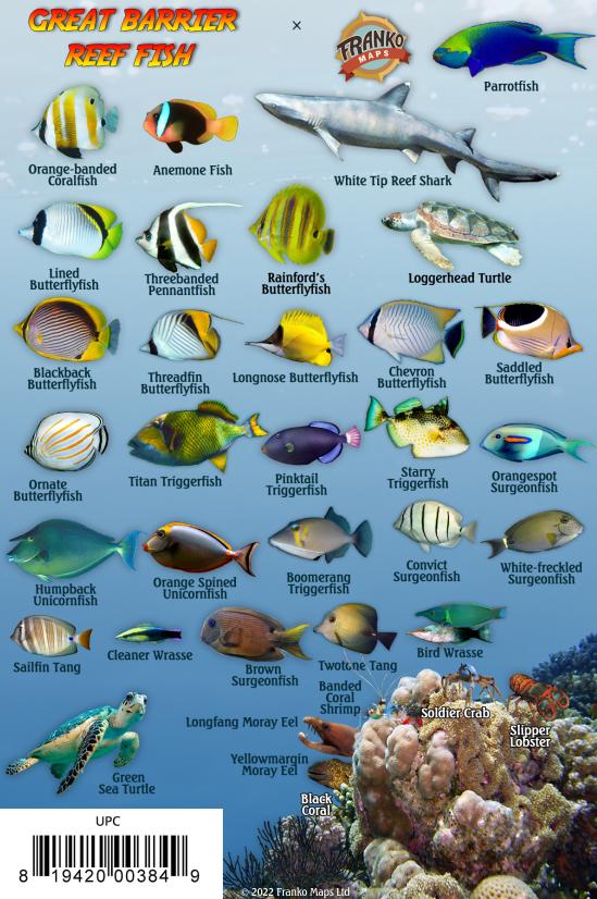 Great Barrier Reef Mini Fish Card – Franko Maps