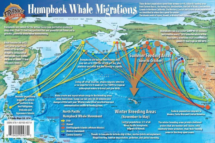 Pacific Humpback Whale Migration Card – Franko Maps