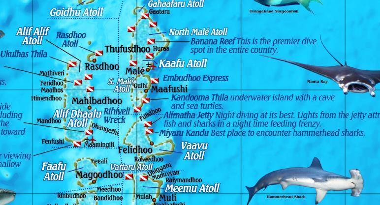 Maldives Map & Dive Guide – Franko Maps