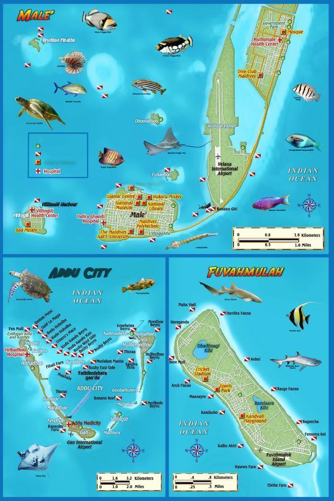 Maldives Map & Dive Guide – Franko Maps