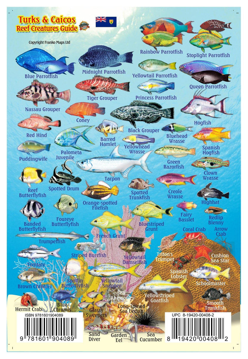 Turks & Caicos Mini Fish Card – Franko Maps